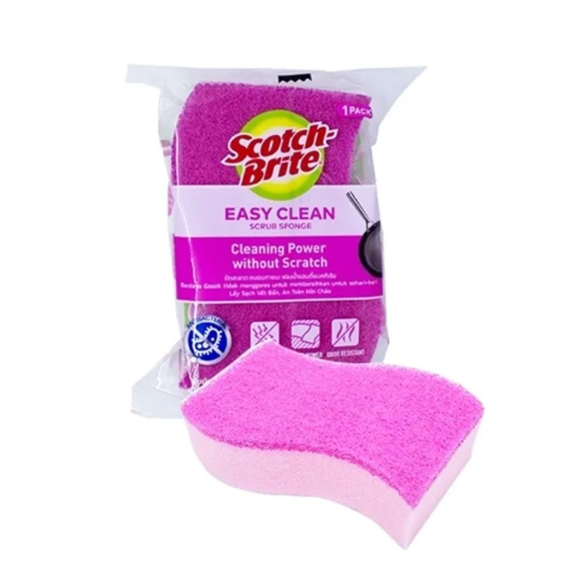 Scotch-Brite Easy Clean Scrub Sponge Anti- Bacterial – greenleif.sg