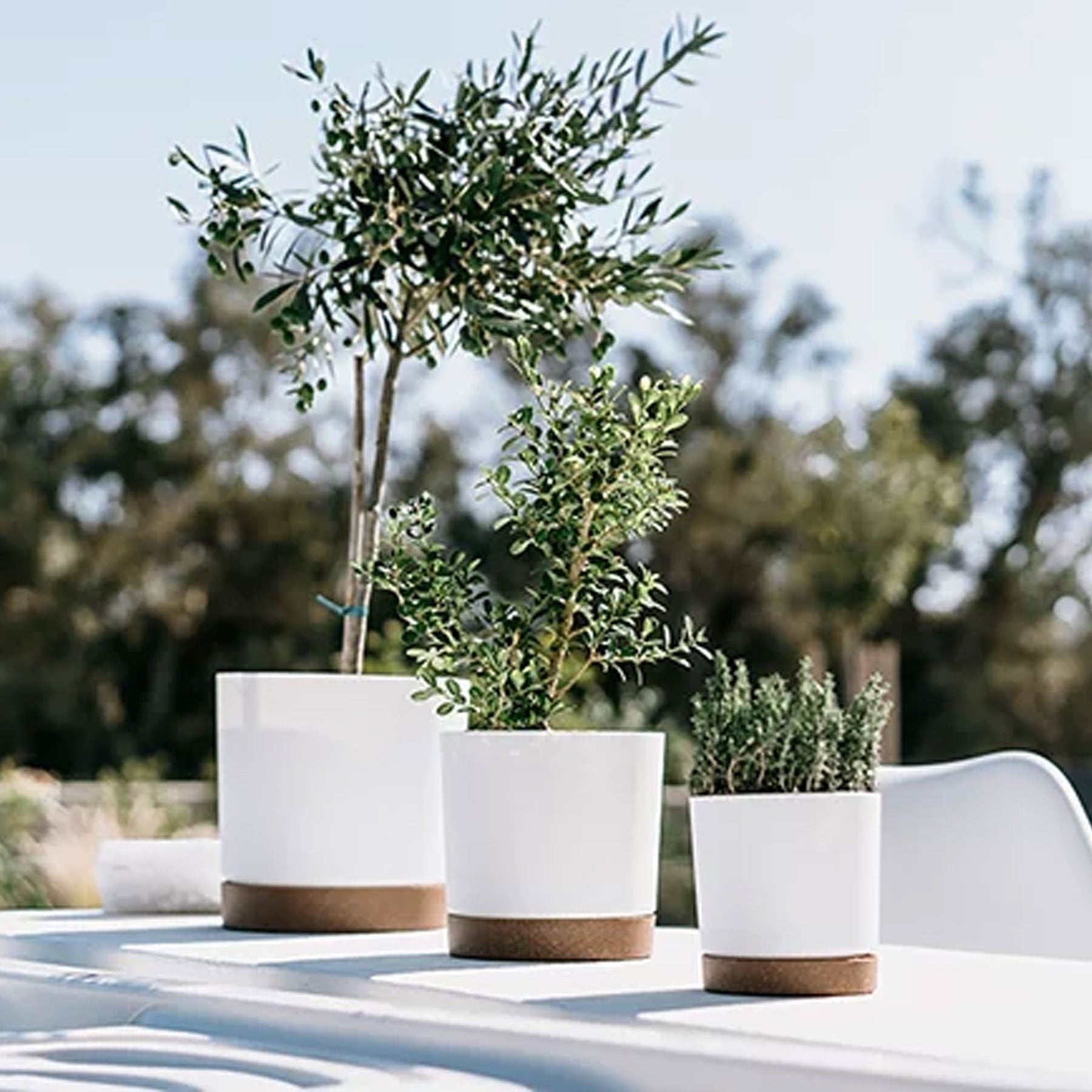 Tubo PM Flower Pot (148x147mm) – greenleif.sg