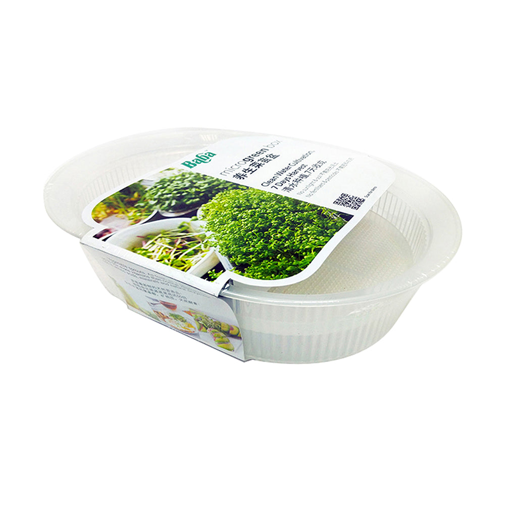 Clear Microgreen Box – greenleif.sg