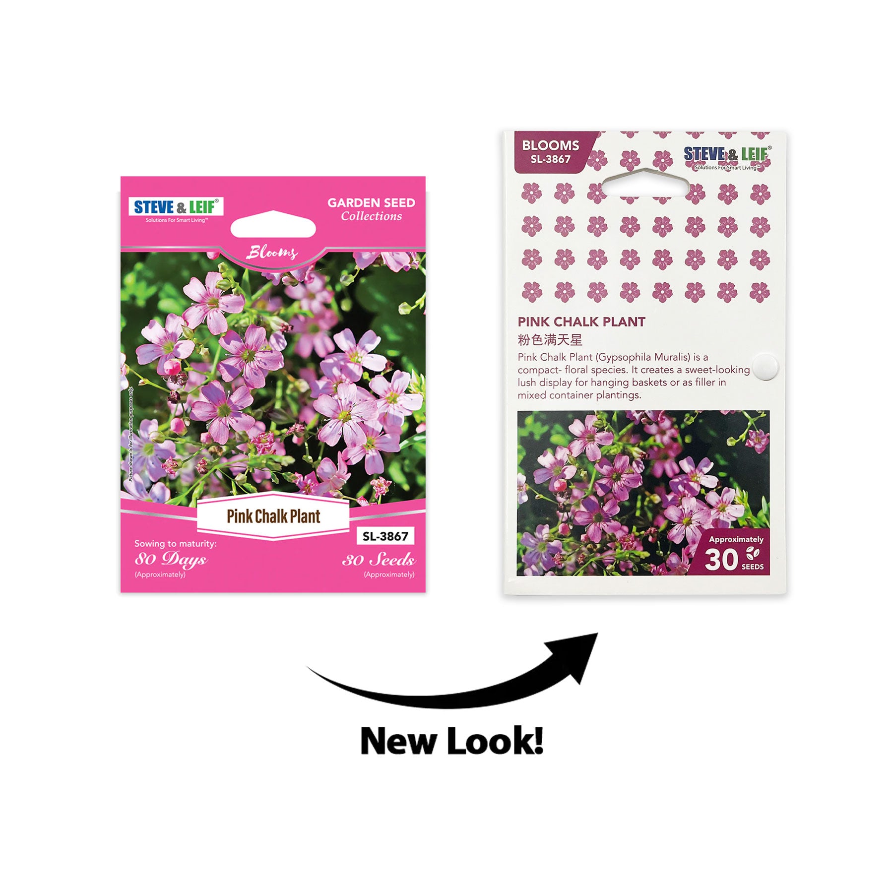 Pink Chalk Plant Seeds – greenleif.sg